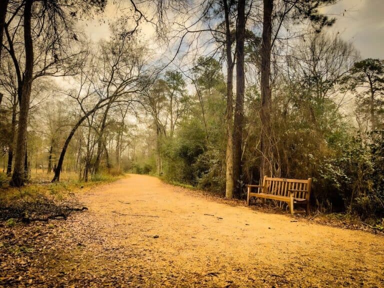 Houston Arboretum & Nature Center - Romantic Spots Houston