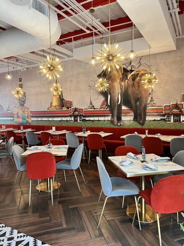 Kin Dee Thai Cuisine - Romantic Spots Houston